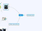 TICS - Mind Map
